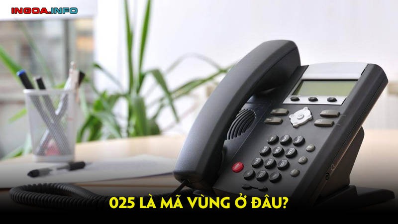 025 là mã vùng ở đâu? Mã vùng 025 chuyển đổi thành gì? | mindovermetal
