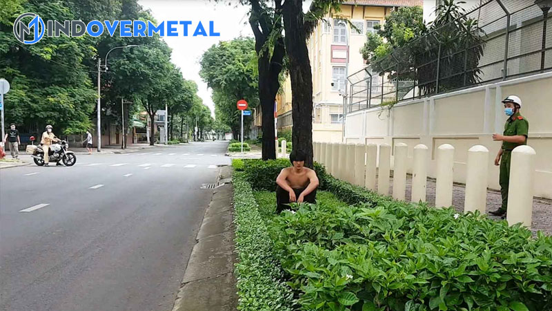 Top 20 ngáo đá bằng tiếng anh mới nhất 2023 | mindovermetal